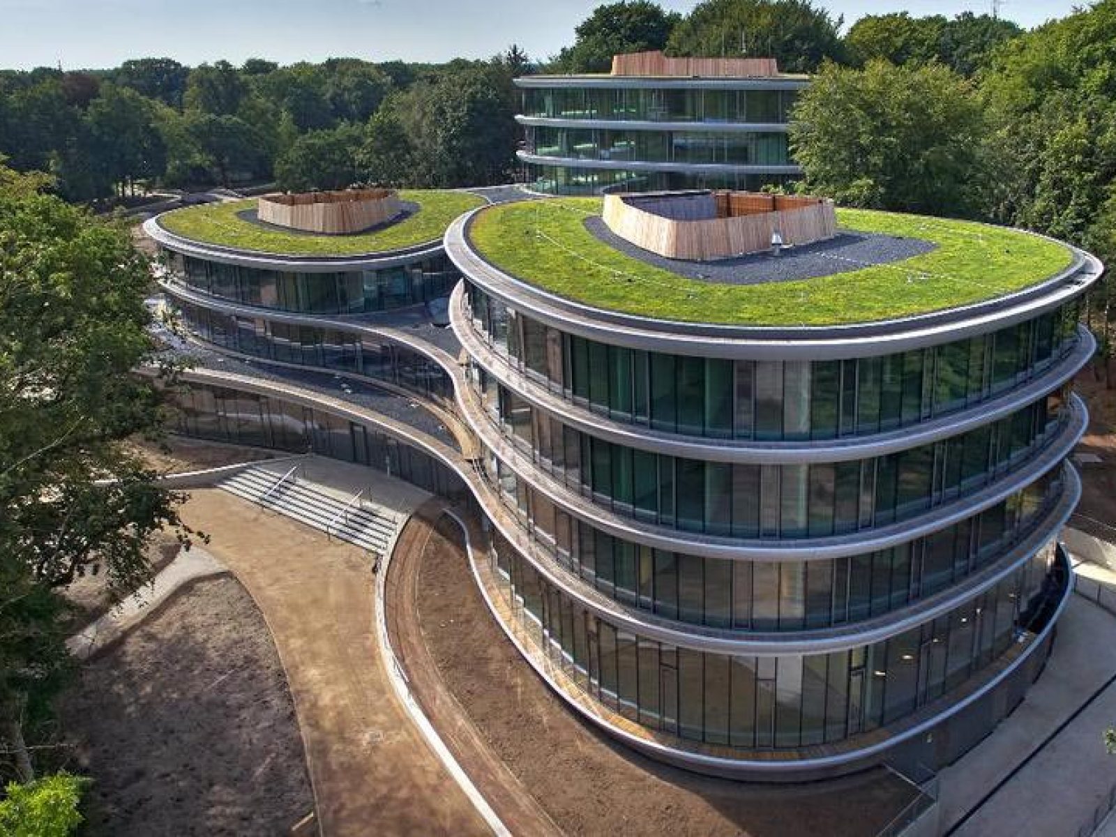 Sedum, sedum en nog eens sedum! – Basis Taxaties & Consultancy